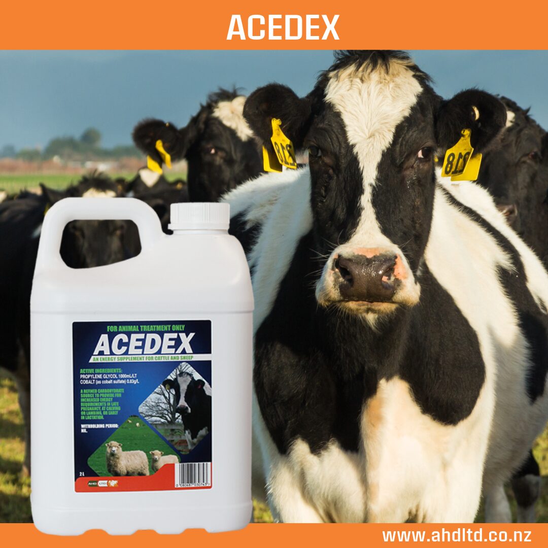 Pre-Calving Campaign - Animal Health Direct