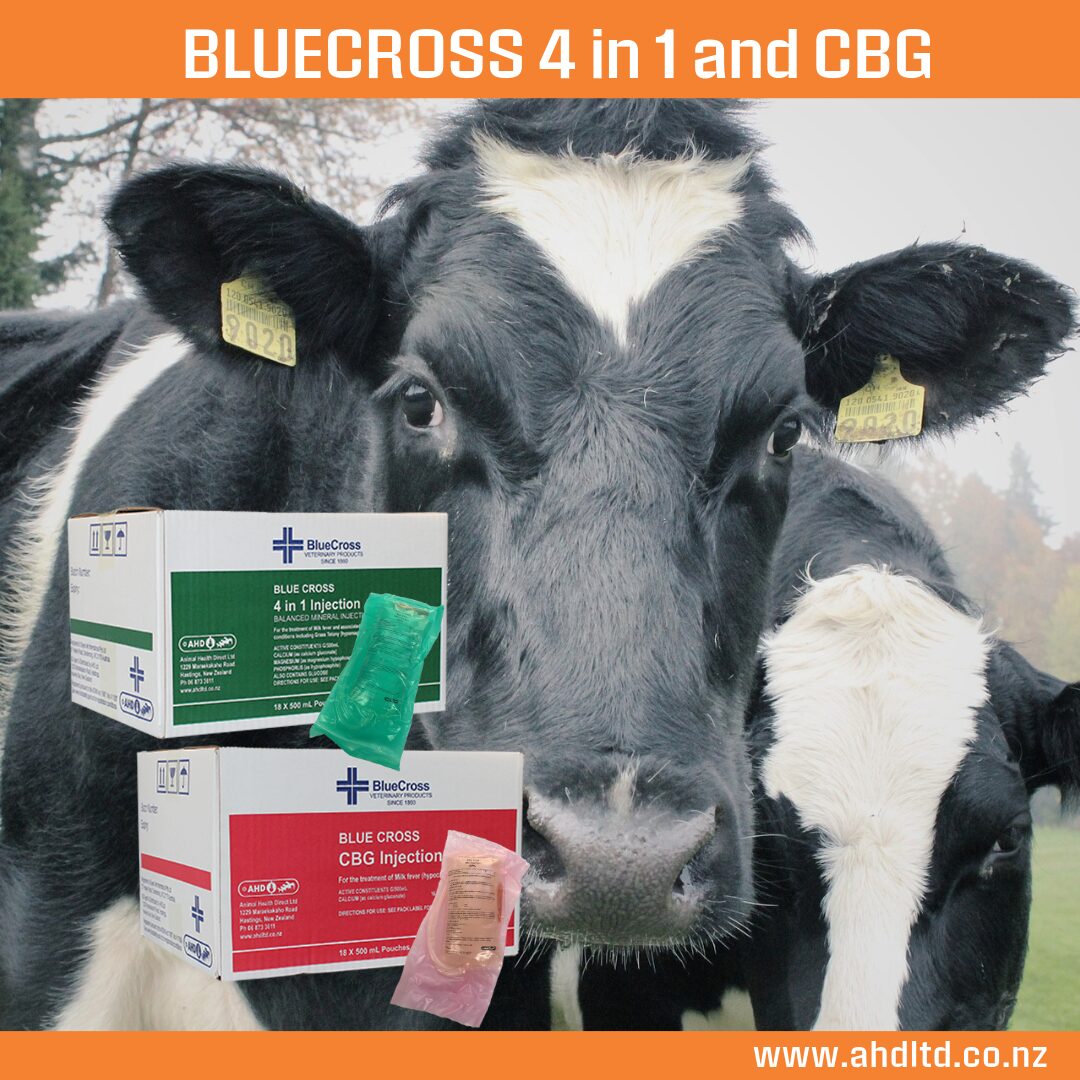 Pre-Calving Campaign - Animal Health Direct
