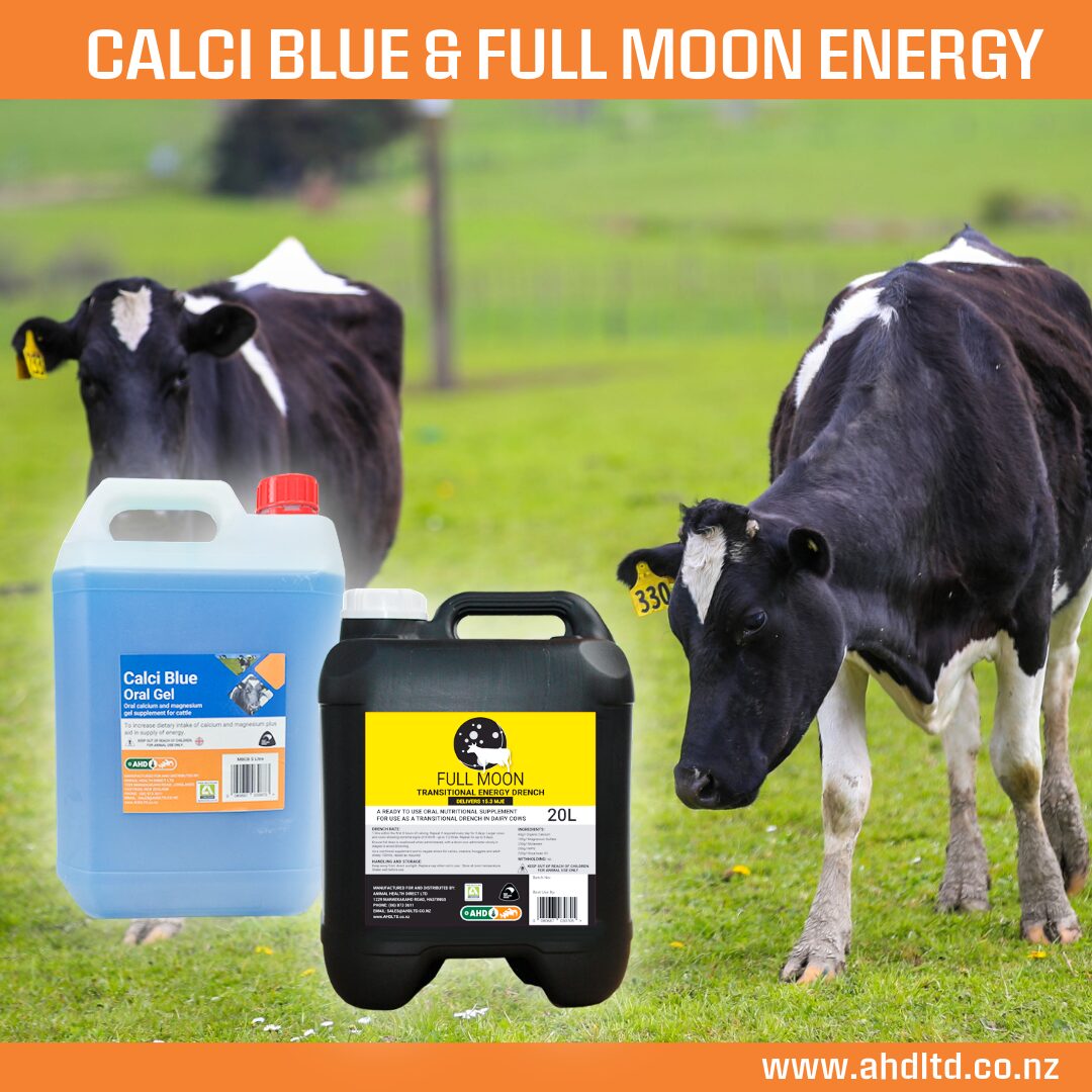 Pre-Calving Campaign - Animal Health Direct