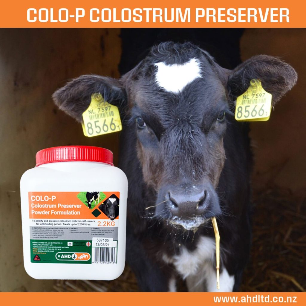Pre-Calving Campaign - Animal Health Direct