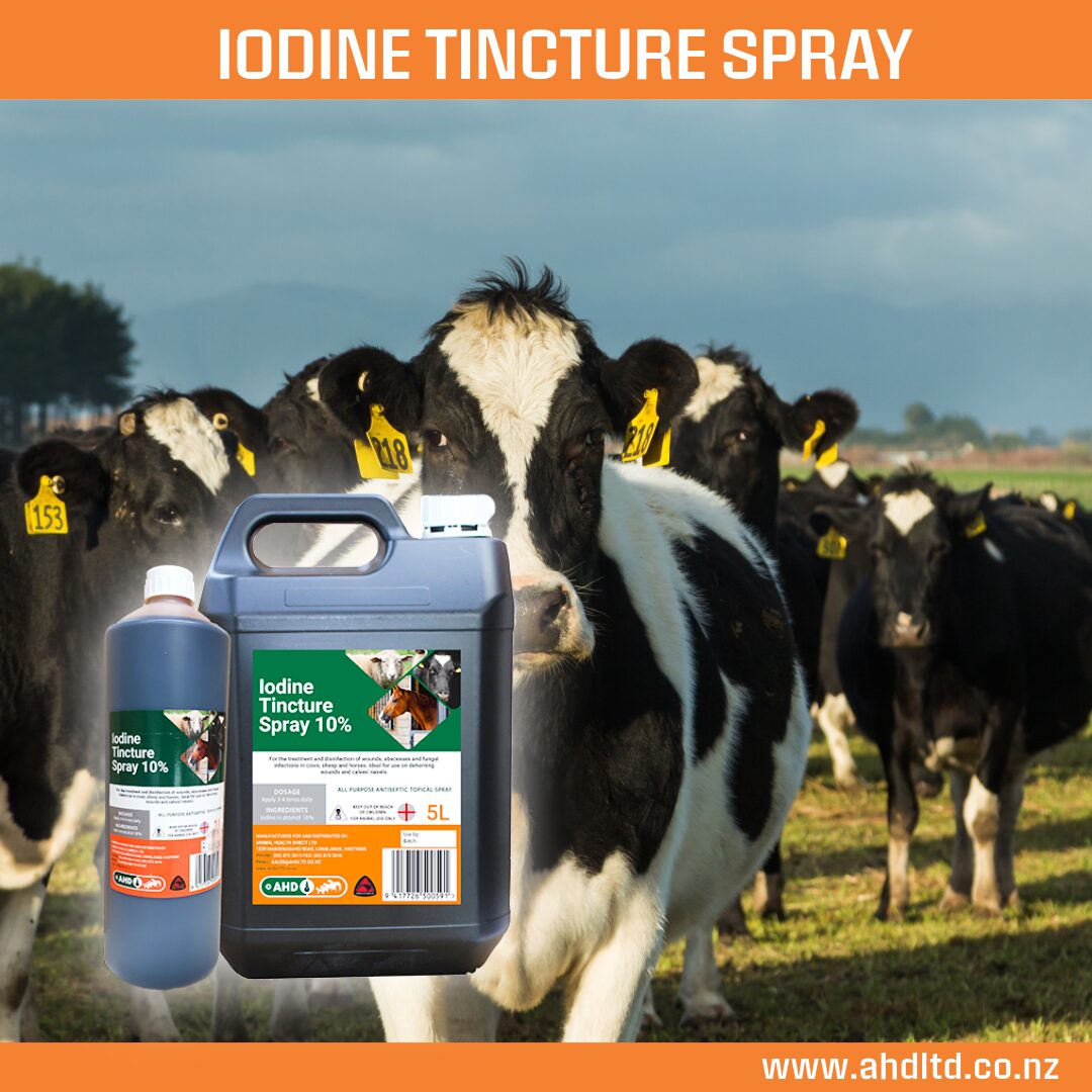 Pre-Calving Campaign - Animal Health Direct